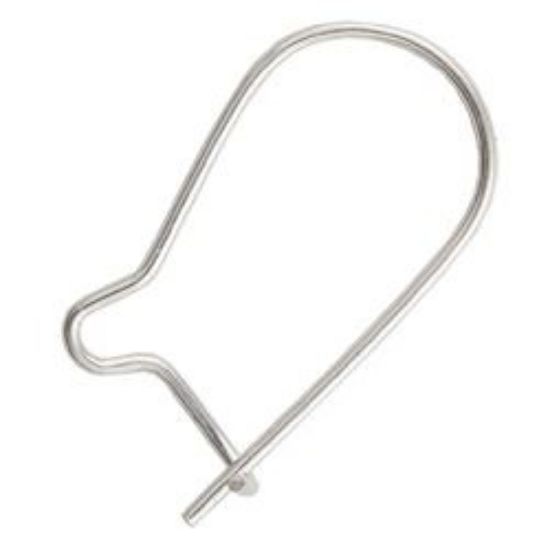 Ear Wire S/S Kidney .020" Unit Of 10 PAIR) - Thunderbird Supply Company ...