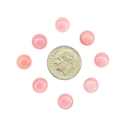 8mm Rd Conch Shell Cab - Thunderbird Supply Company - Jewelry Making ...