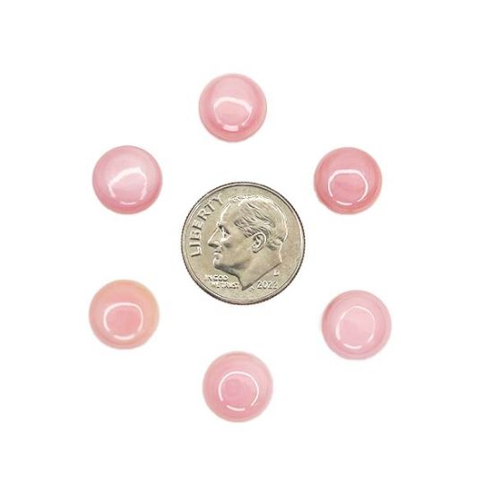 10mm Rd Conch Shell Cab - Thunderbird Supply Company - Jewelry Making ...