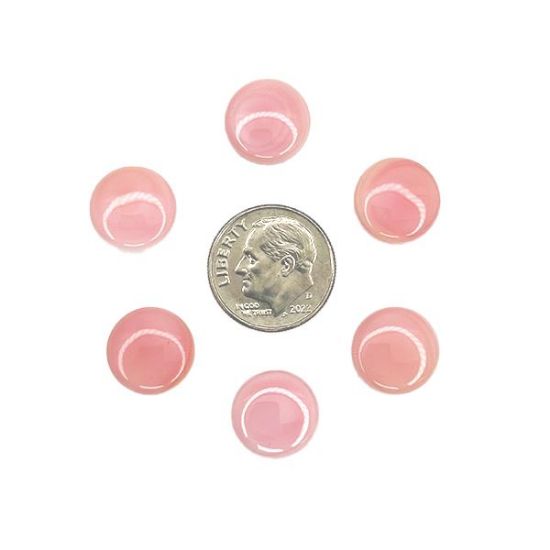 12mm Rd Conch Shell Cab - Thunderbird Supply Company - Jewelry Making ...