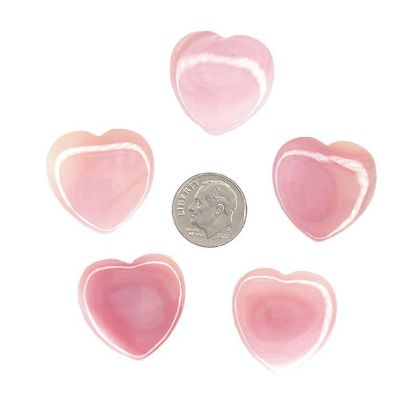 Pink Conch - Thunderbird Supply Company - Jewelry Making Supplies