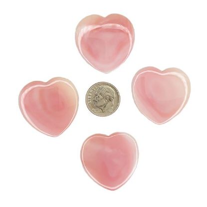 Pink Conch - Thunderbird Supply Company - Jewelry Making Supplies
