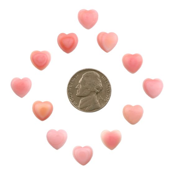 10mm Heart Conch Chell Cab - Thunderbird Supply Company - Jewelry ...
